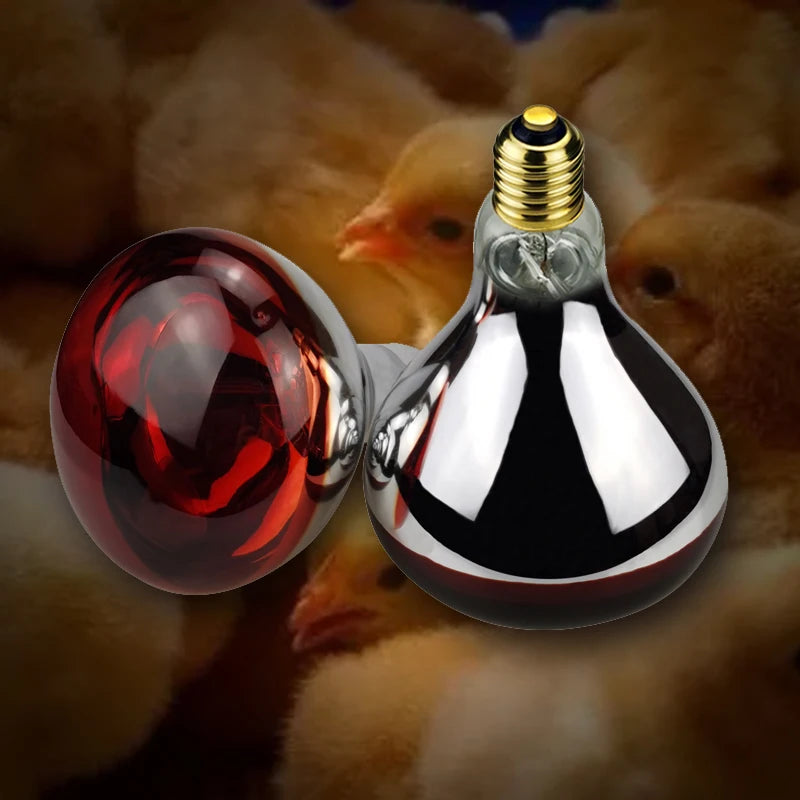 Infrared Heat Lamp Farm lamp – PawprintPlayground
